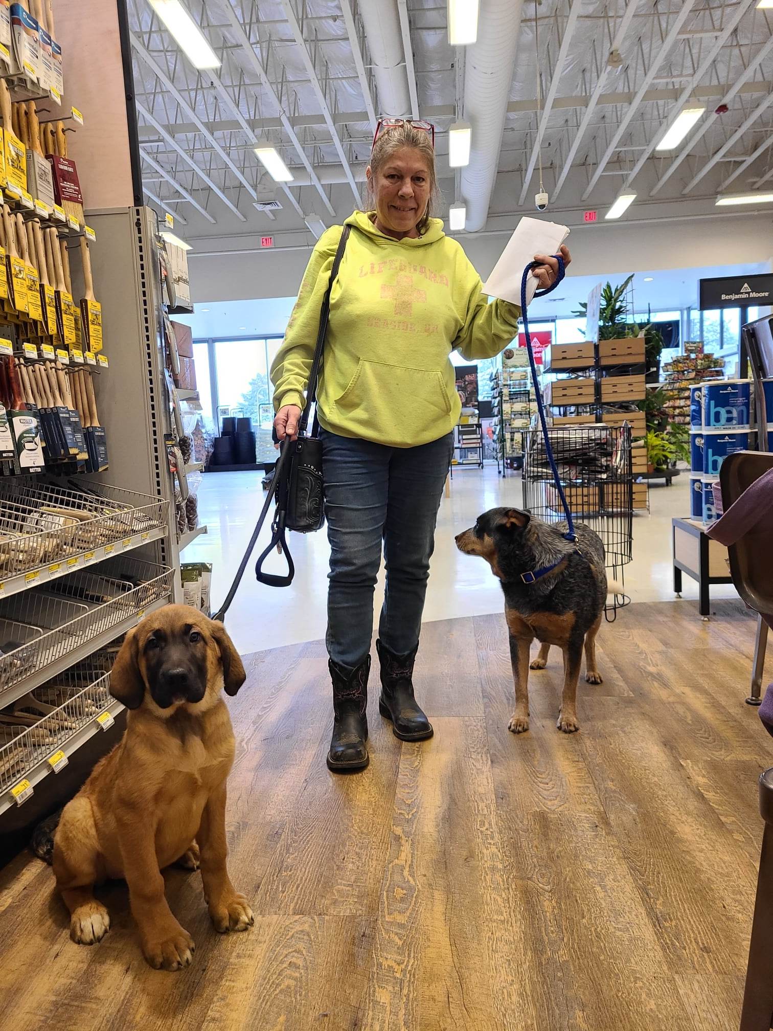 Lady formally known as Teal - Saint Bernard Rescue Foundation, Inc.