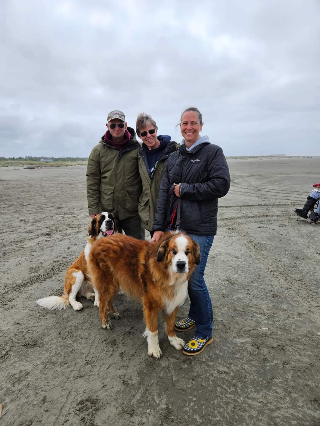 Sampson - Saint Bernard Rescue Foundation, Inc.